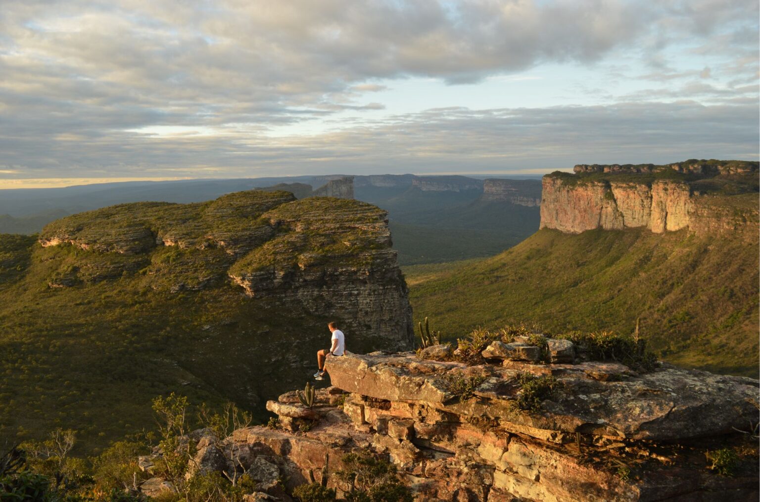 Brazil - Ecology Prime