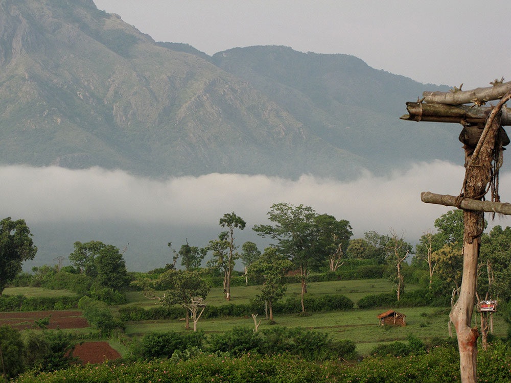 India - Ecology Prime