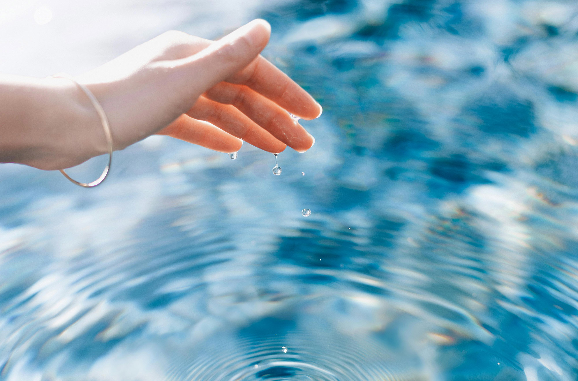 The Future of Upstate New York - Ecology Prime